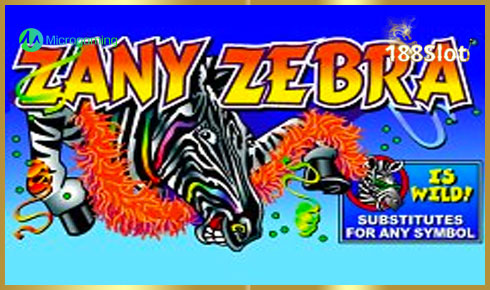 Zany Zebra